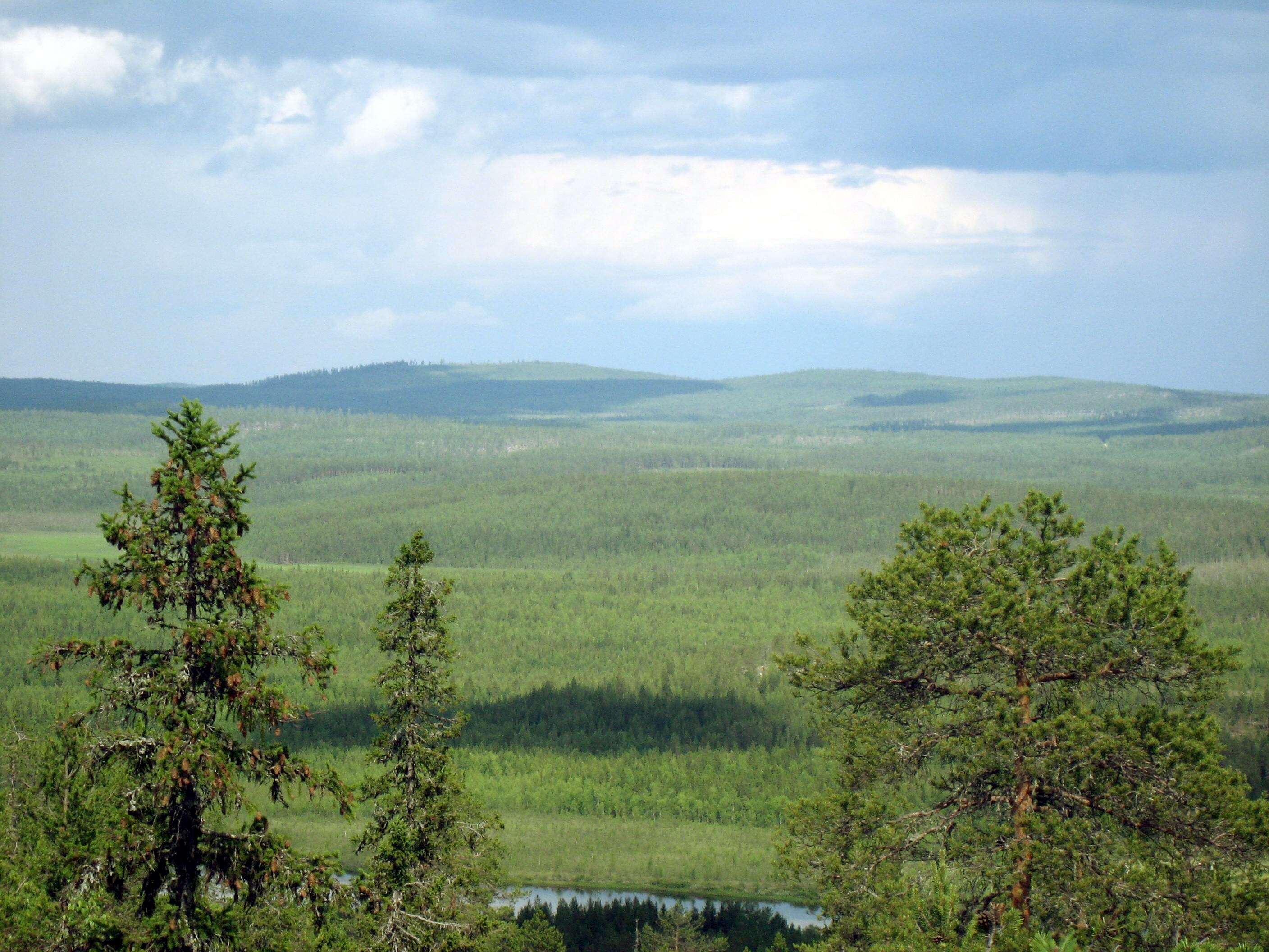 Aava Sky Village | ACSI